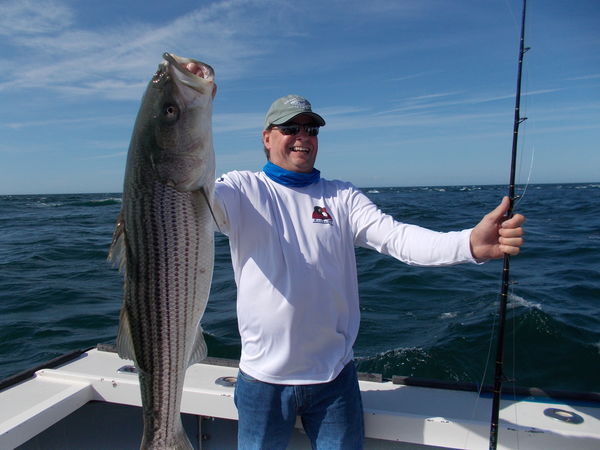 back when: pic from 2012 when the fish were still here in November...