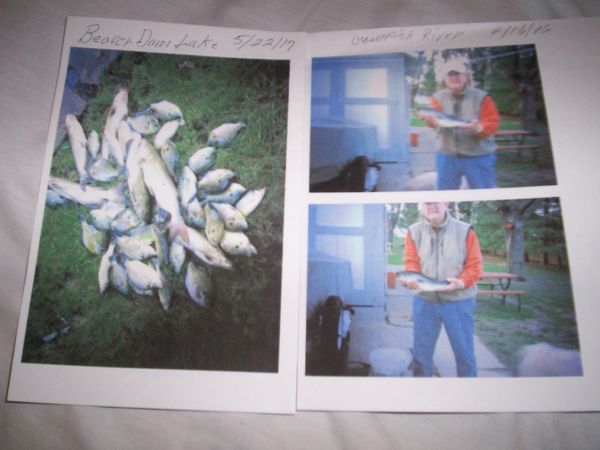 FISH: JUST A GREAT DAY OF FISHING .GOT THE FISH BEAVER DAM LAKE,WI.