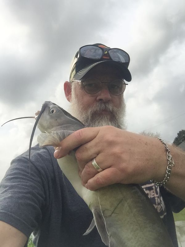 Catfish and Kids: Got on a few 3-4 LB cats saturday. With a friend and ...