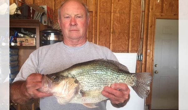 3-lb. crappie: One of you Georgia boys should'a posted this article ...