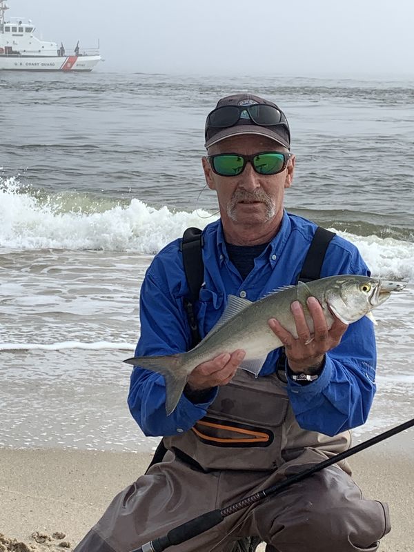 Blue fish invade sandy hook rip in large numbers: He’s a few pictures ...