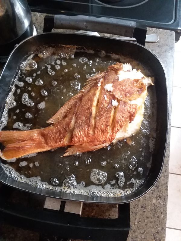 Dinner tonight: Wife cooked the Red Snapper tonight. Madr a Jamaican ...