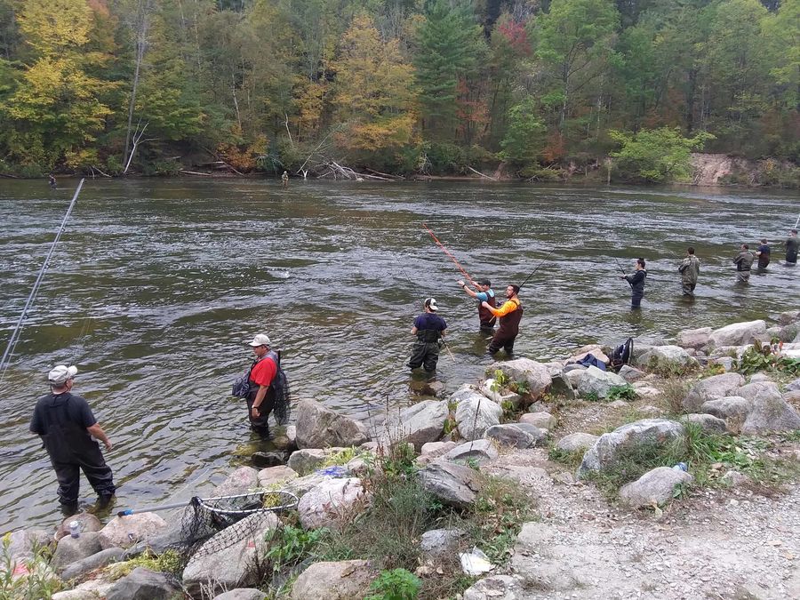 Tippy Dam (MI) Upper Manistee River salmon frenzy! A severe thunder ...