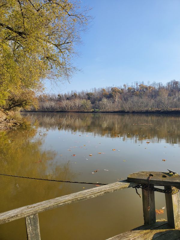 Catfishing: Got out fishing today on my dock in the Muskingum river ...