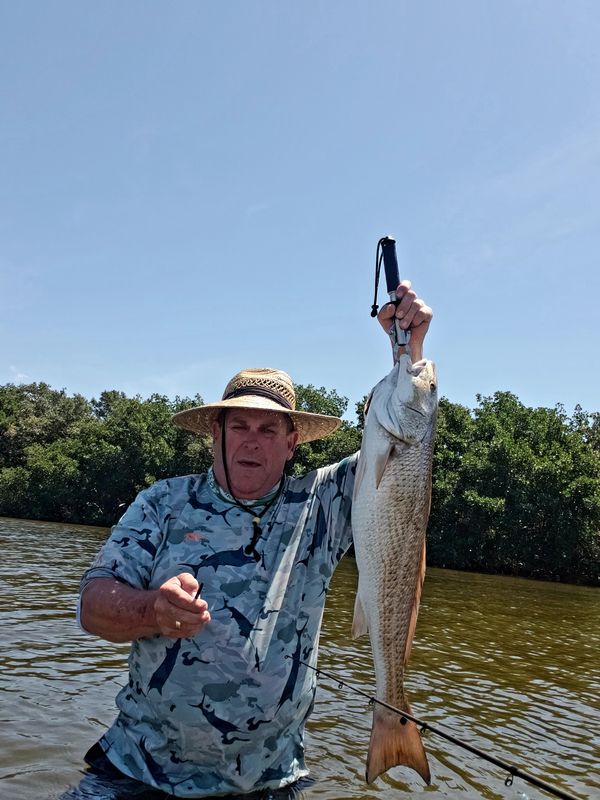wade fishing: First time out wade fishing with my Seamule rig. Went out ...