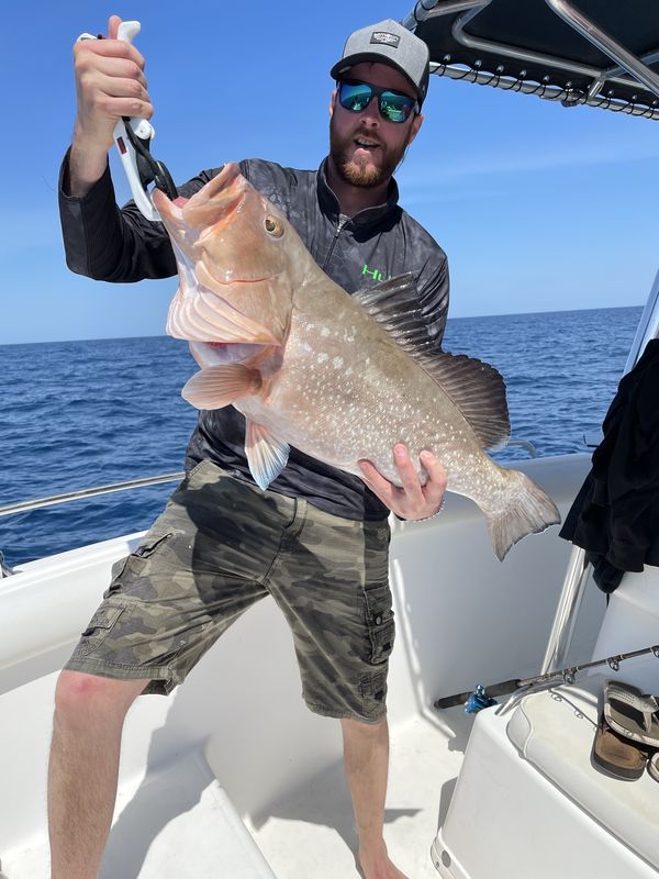 Red grouper from the gulf: The red grouper fishing off of Port Richey ...