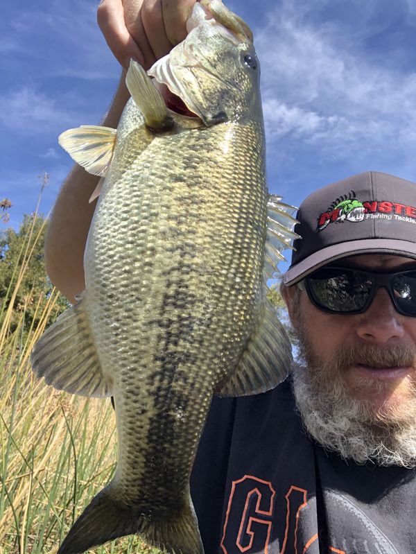 Delta Sunday 4/11/21: Went for a drive this morning meet up with my ...