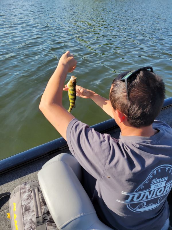 Fishing with my boys: Early morning fishing, Cook Pond Fall River, MA...