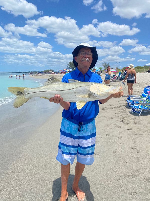 Snook off the beach: My fishin' partner off the surf yesterday at ...