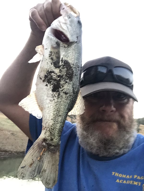 Sonoma lake 6/18/21: Got home from work yesterday and got a text from ...