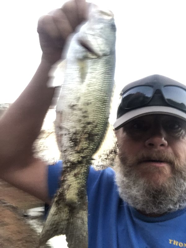 Sonoma lake 6/18/21: Got home from work yesterday and got a text from ...