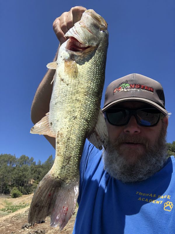Sonoma lake 6/18/21: Got home from work yesterday and got a text from ...