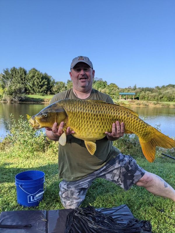 Carp: Here’s the next attempt...