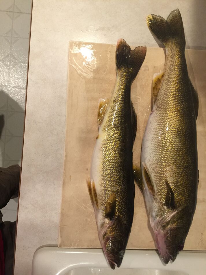 Wind & Fish: Fished the Columbia River last night. Wind was blowing ...