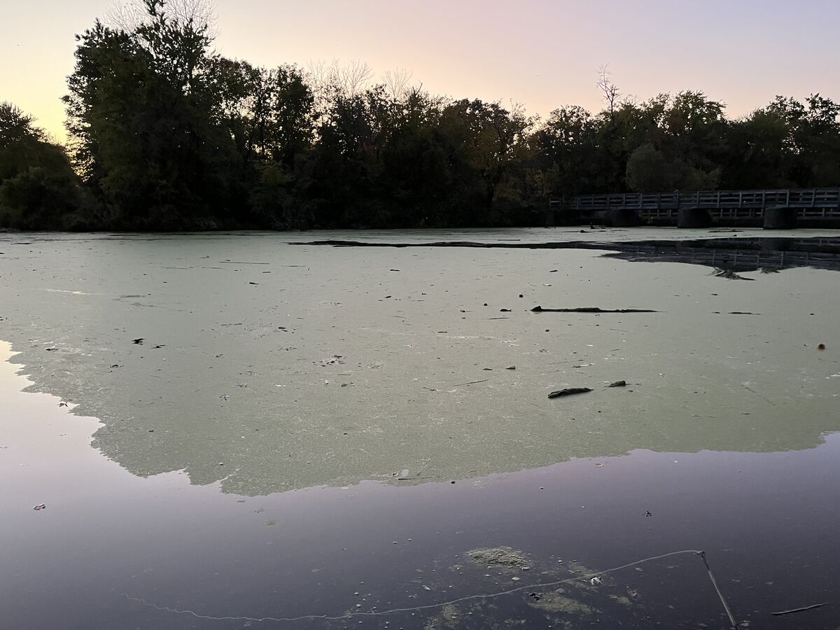 Millstone River: Went fishing in the 65 degree Millstone River this ...