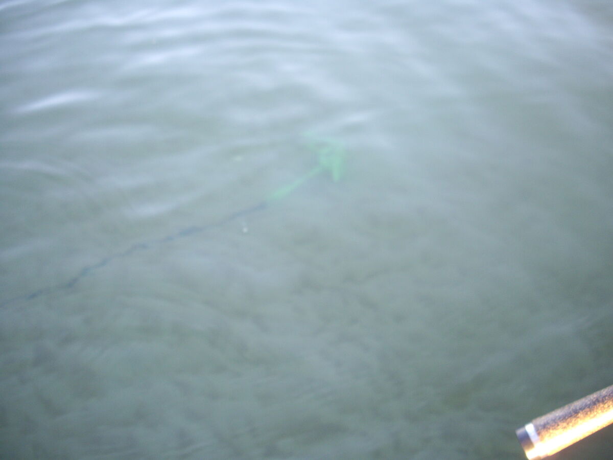 (MD) Strange day on the water: We launched out of Slaughter creek and ...