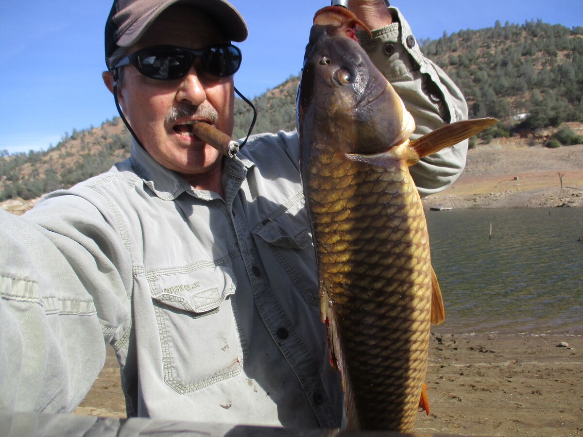 MORE CARP: Caught a few more Carp today, one 10 lbs. Water getting lower.