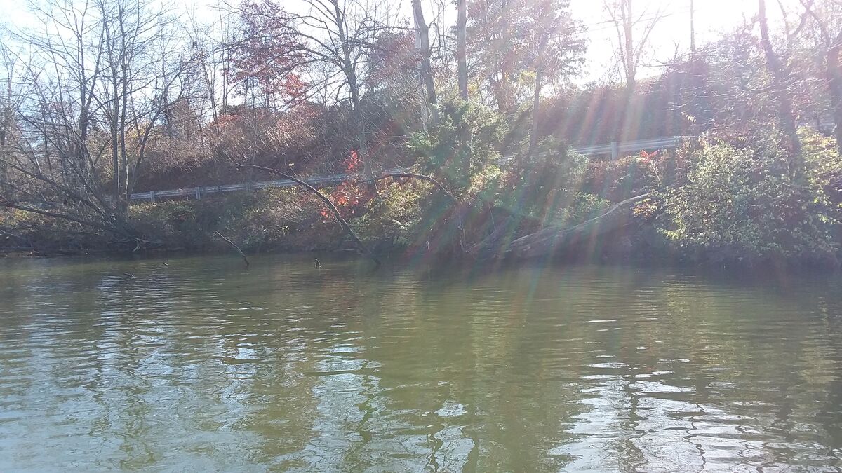 Back from Beseck 11/10: Pulled a Gilligan's Island special today. 47 ...