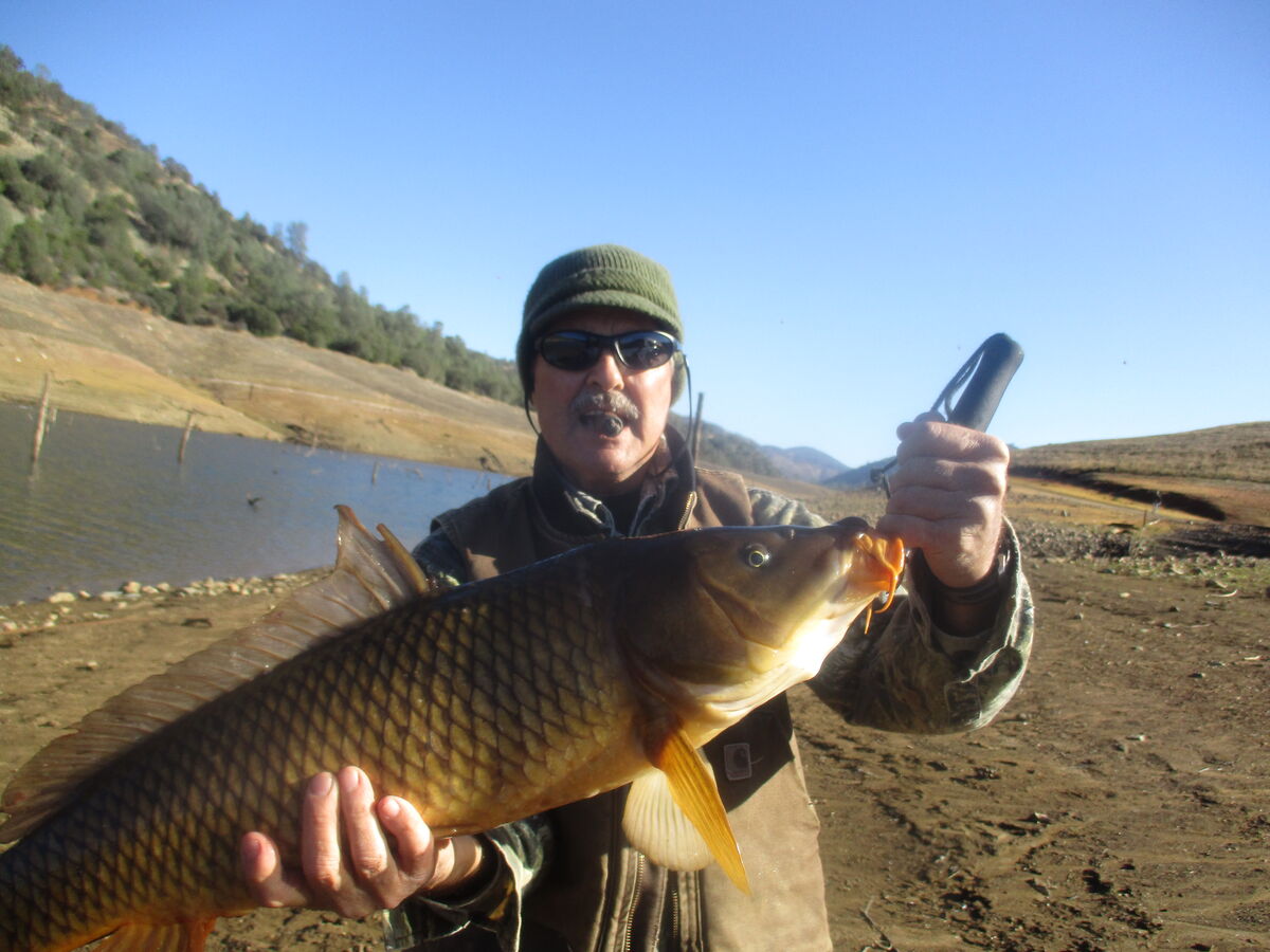 GREAT CARP DAY: Had a great day carp fishing, caught 4 two over 11 lbs ...