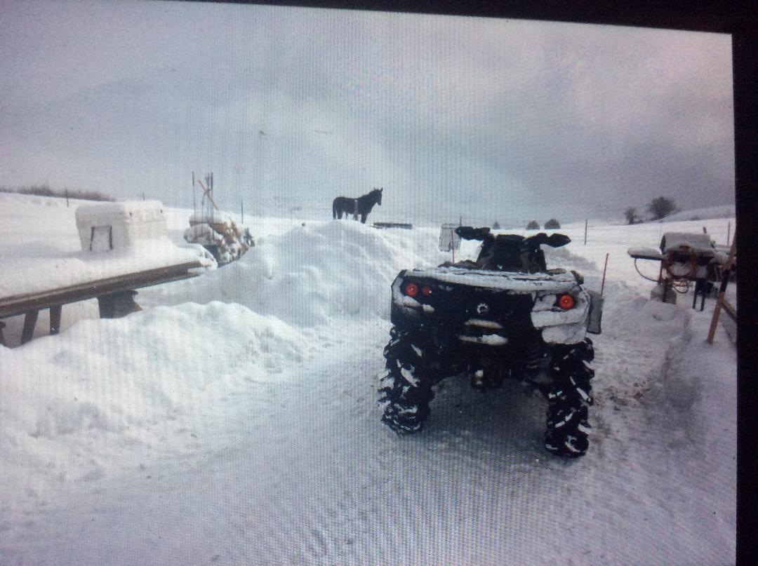 Snow on the way: I saw a post from Scud talking about snow up north and ...