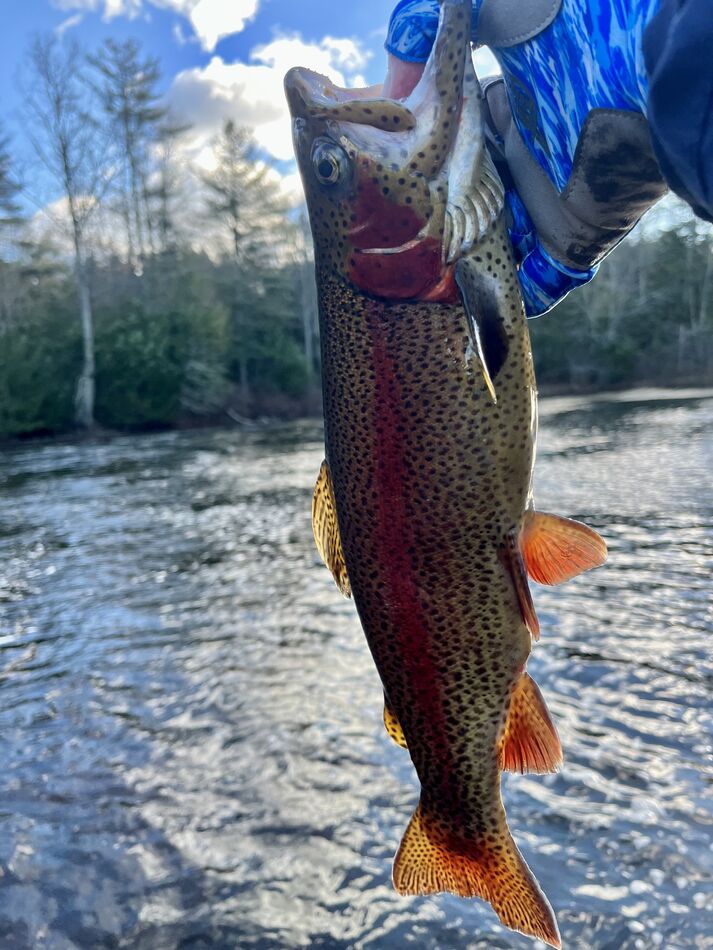 Winter fly fishing in New Hampshire: Winter fly fishing in NH with 20 ...