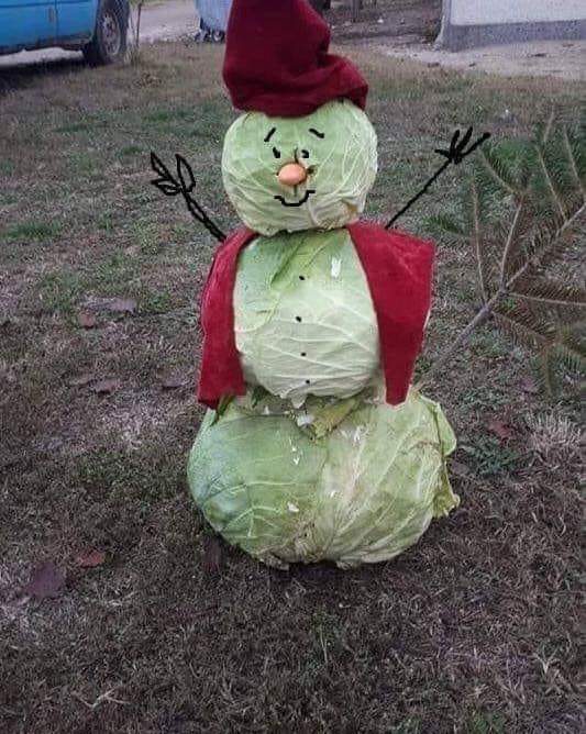 Snowman: I posted a picture of a Texas snowman a week or so ago and ...