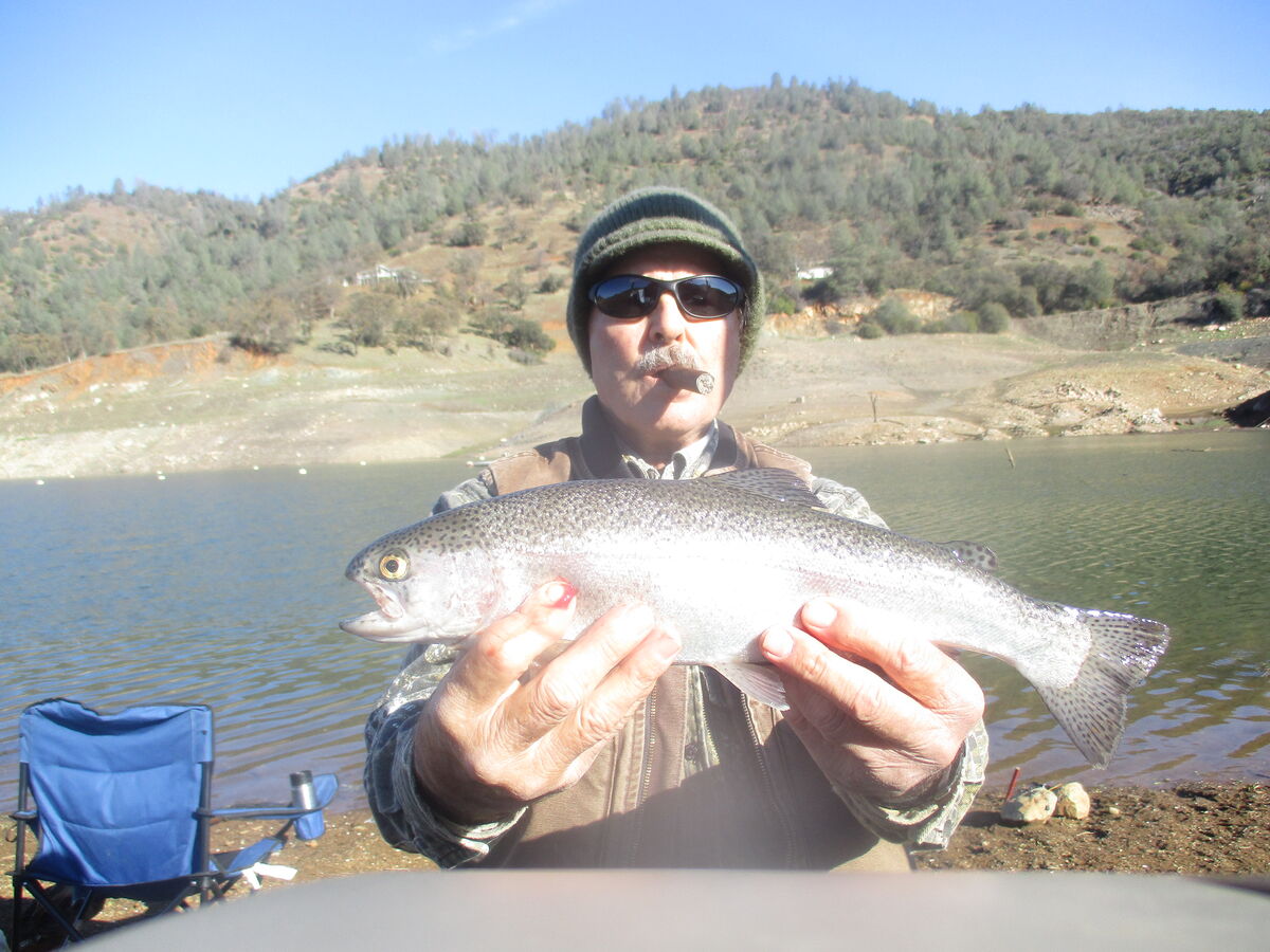 MORE TROUT & CARP: Another good day, two nice trout on pink Mouse Tails ...