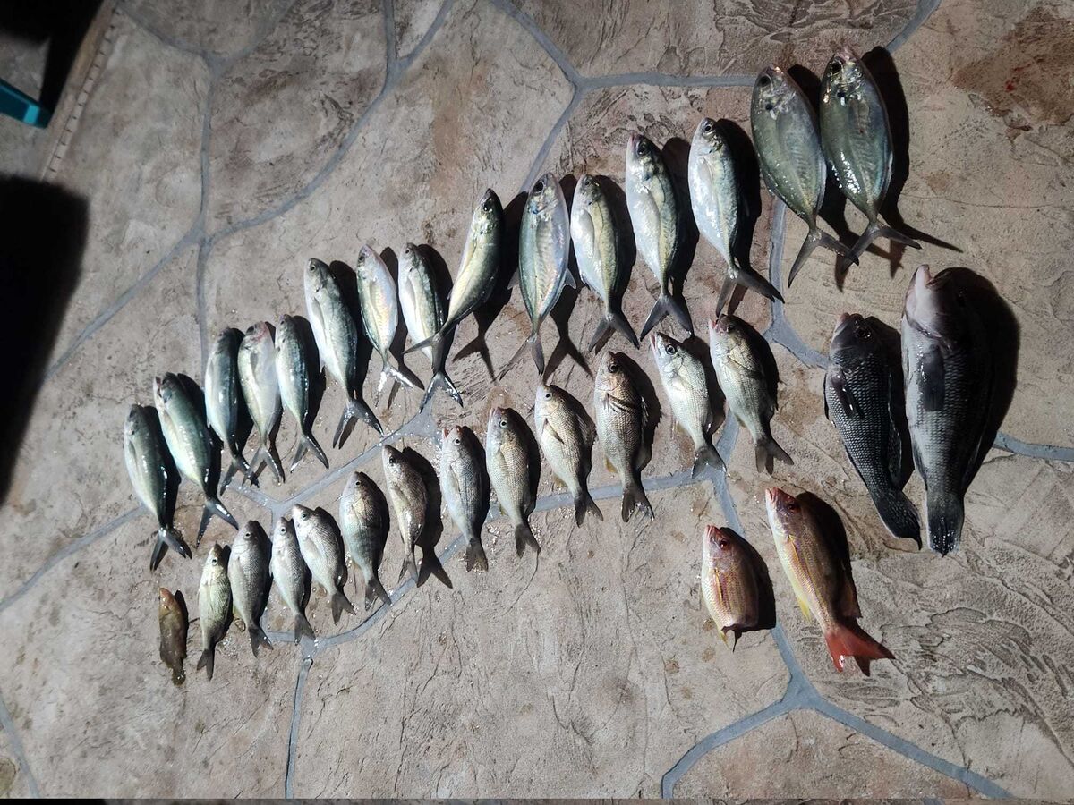 Lots Of Bait Fish And Four Good Eating Fish Not A Bad Day Out On St