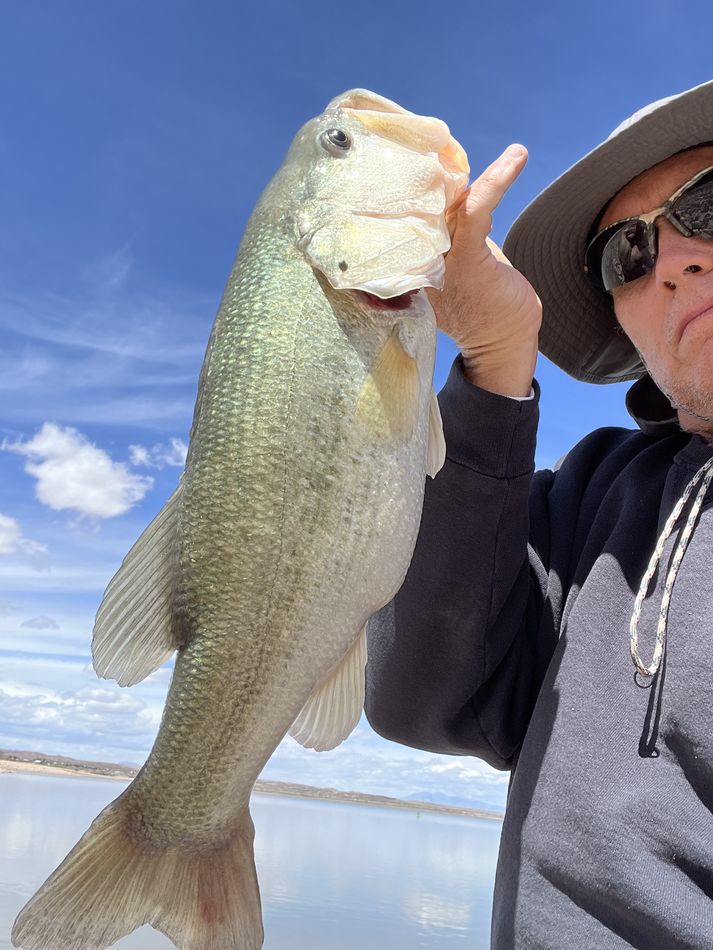 Personal Best Today: Went to Caballo Lake and caught only a drum all ...