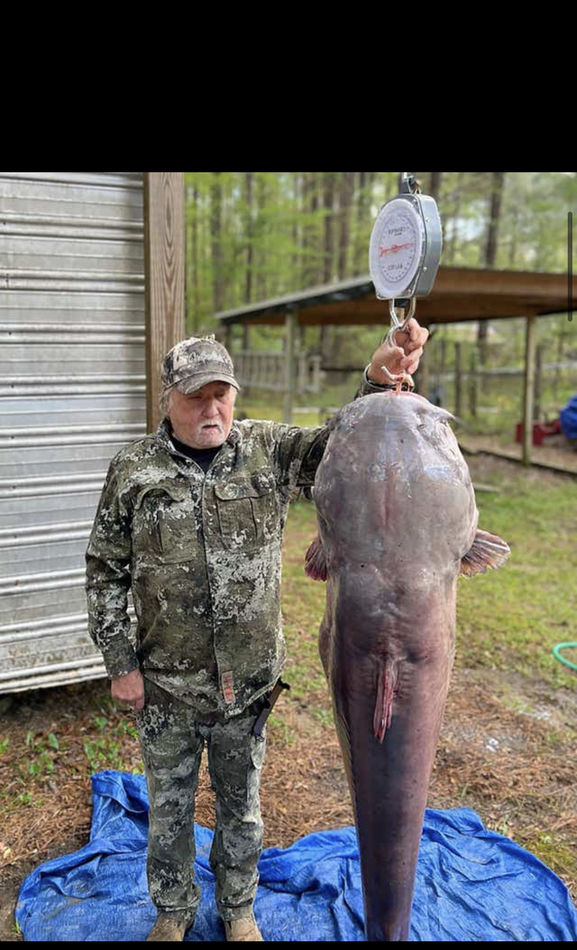 Unbelievable Catch: This caught this 131lb blue catfish using 30lb test ...