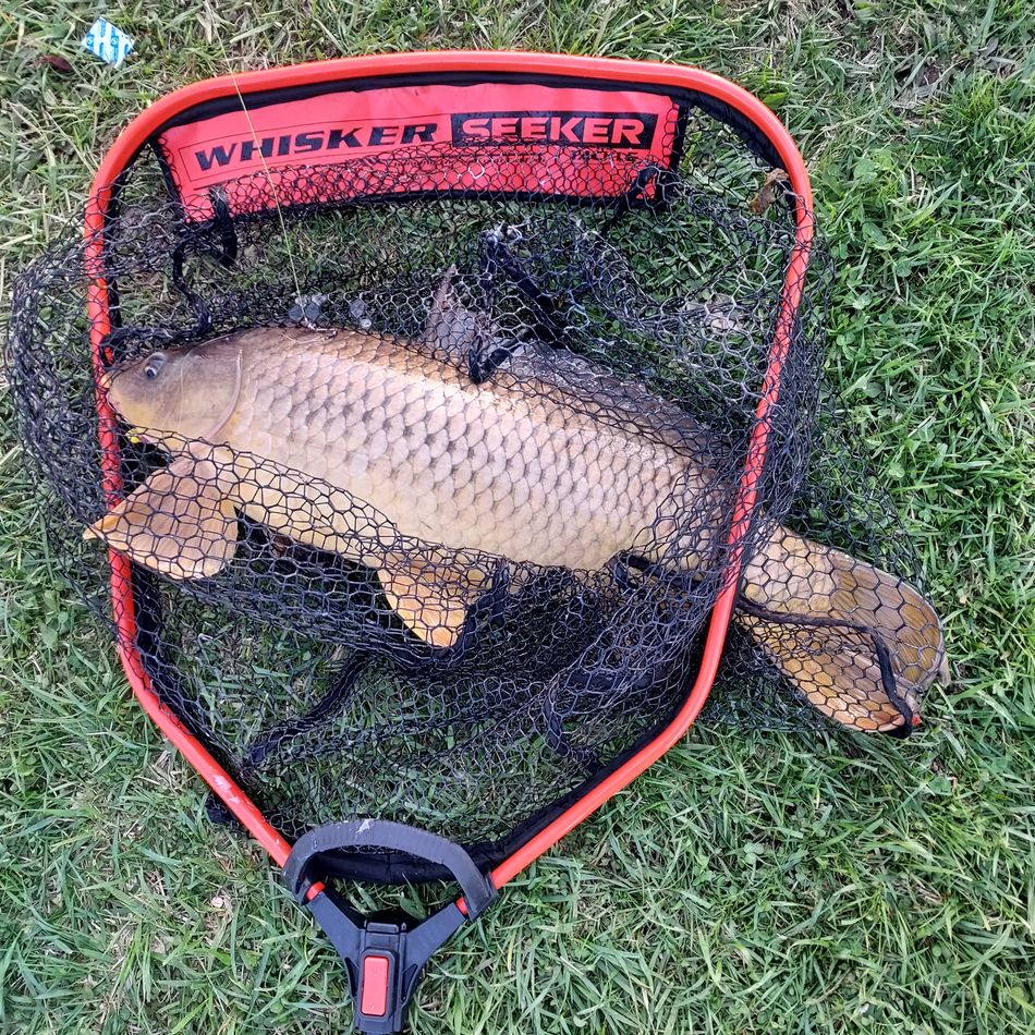 Things are looking up: Caught a few 3 cats today and this big fat 25 ...