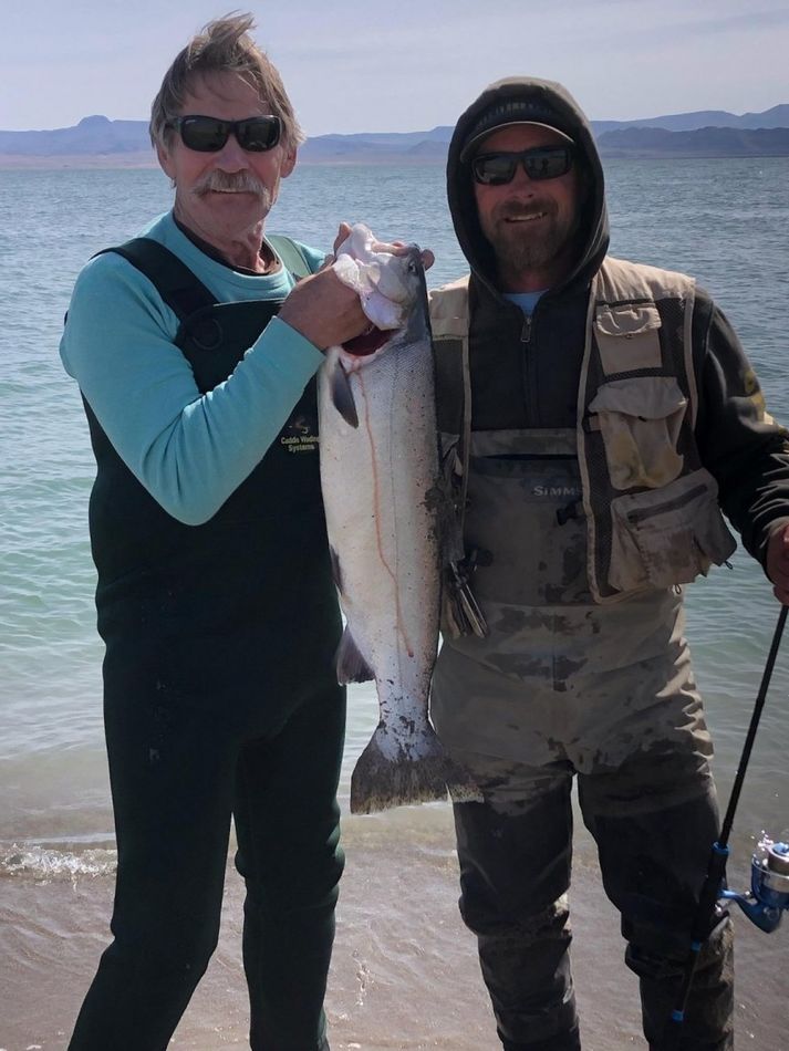 Ladder Fishing: This is why we sit on ladders to fish Pyramid lake. A ...