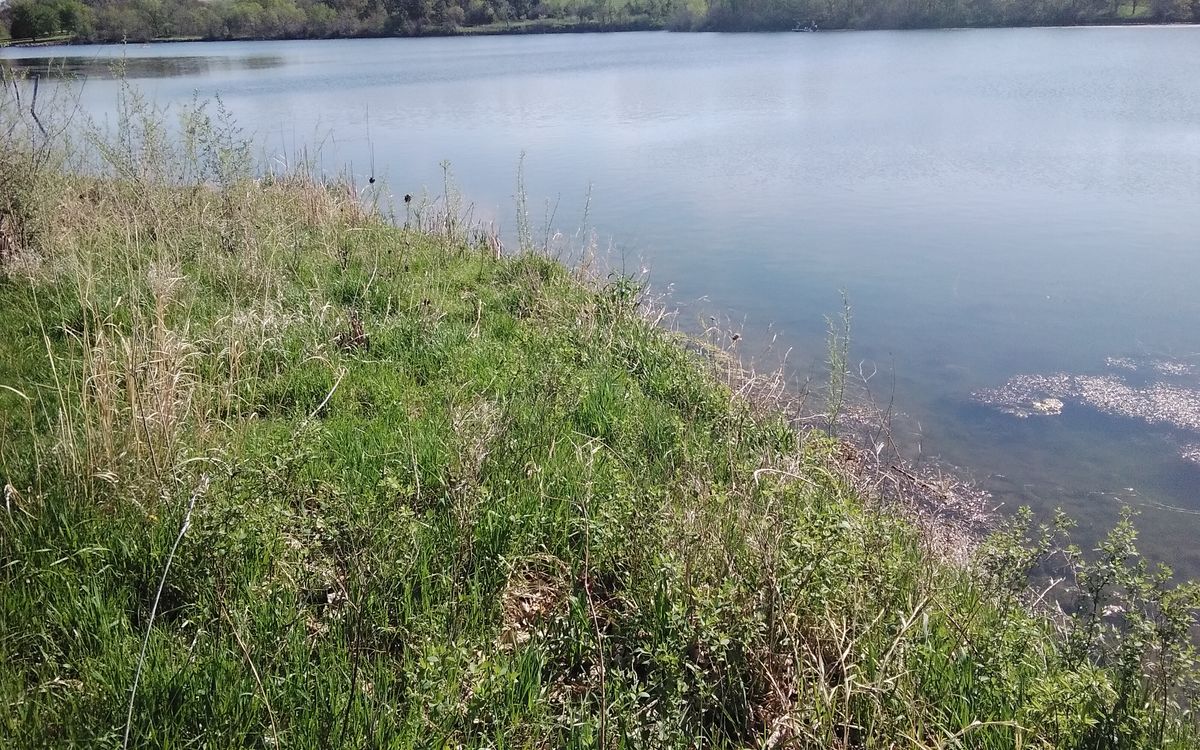 Fishing pictures: Pictures of lake Maskenthine no fish pictures skunked ...