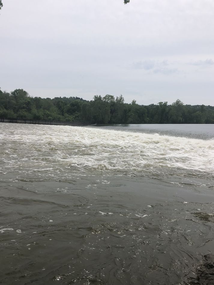 The eyes have it: Tried a new spot today on the muskingum river. Got a ...
