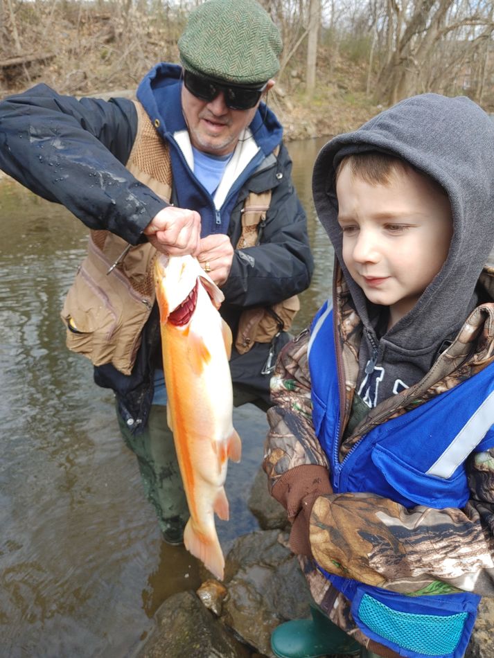 Golden Rainbow trophy Trout: Took 3 1/2 yr old trout fishing, mentor ...