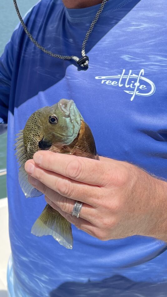 Fishing Report Inland Lake AL: 6/22/2022 Bluegill fishing is still ...