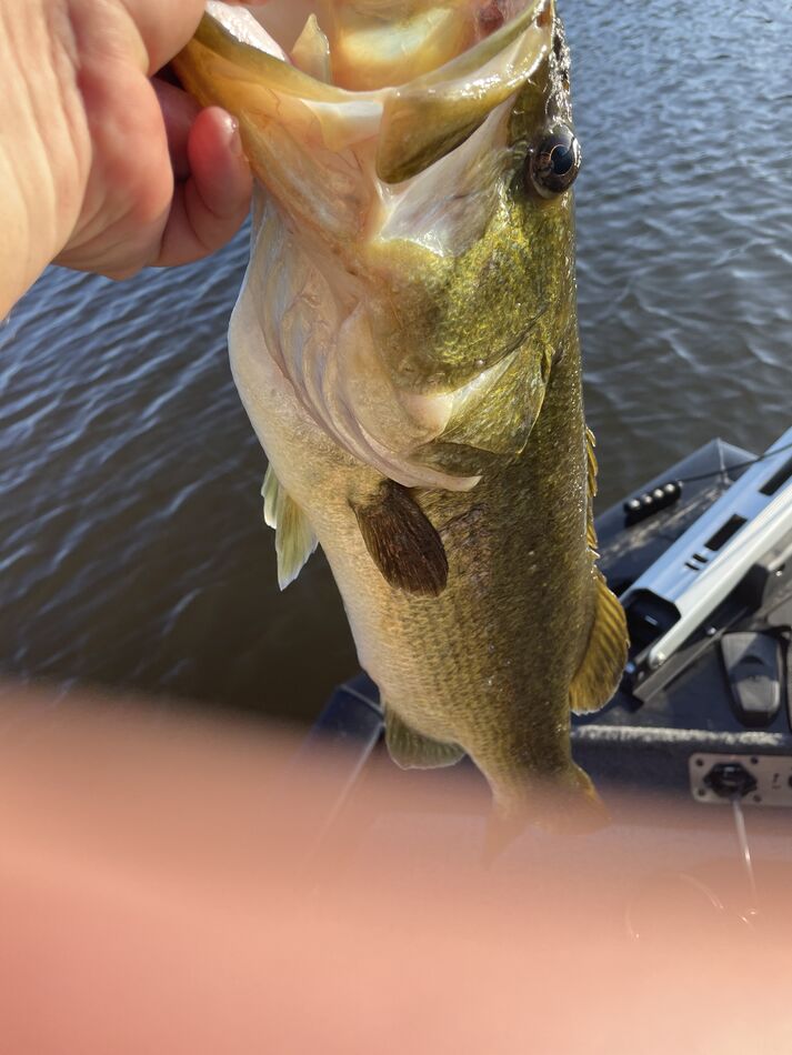Lake Raven; Huntsville State Park: Another good morning. No wind very ...