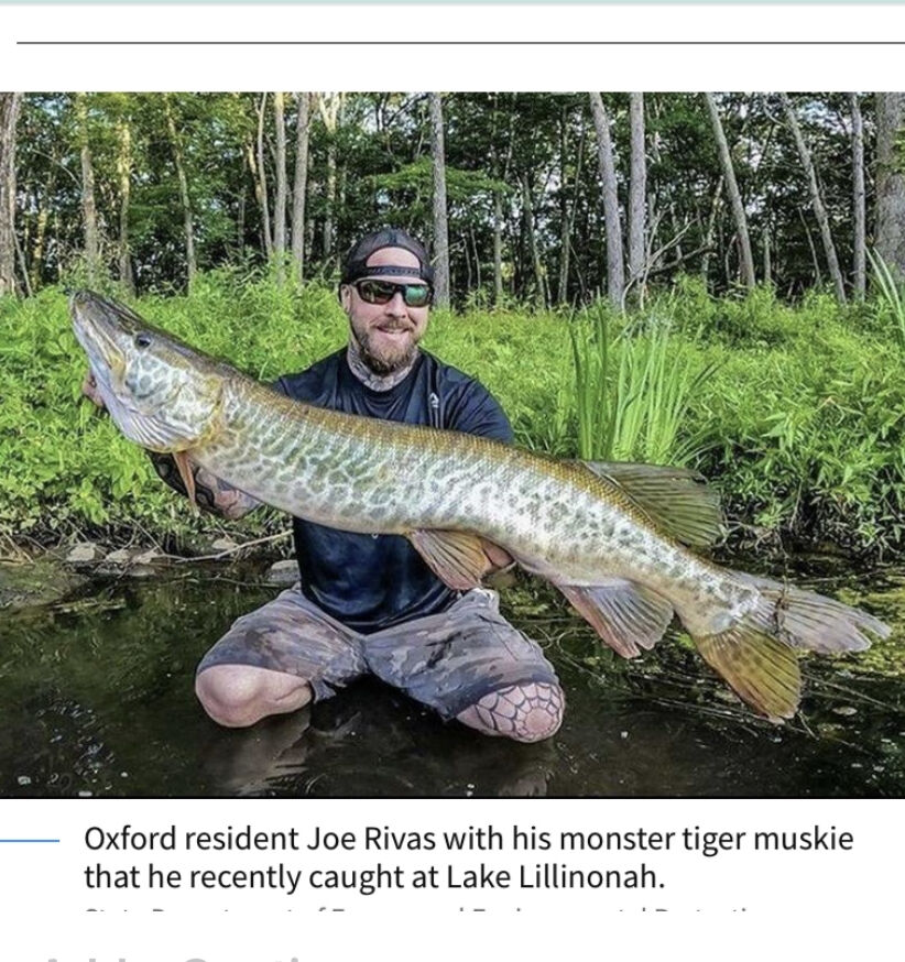 Where Fred fish fishes? Unbelievable...