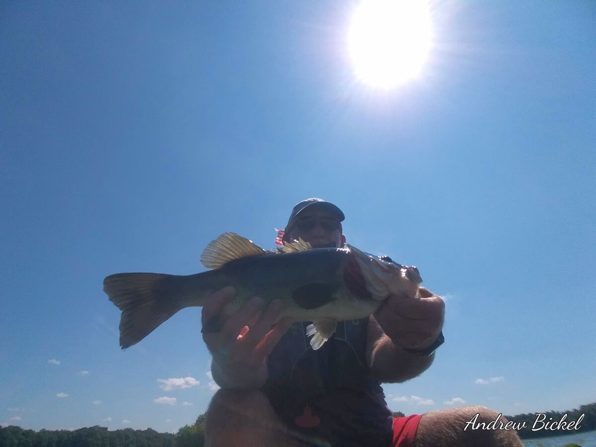 Experimenting today/sunfish frog? What a bright sunny day, got to the ...