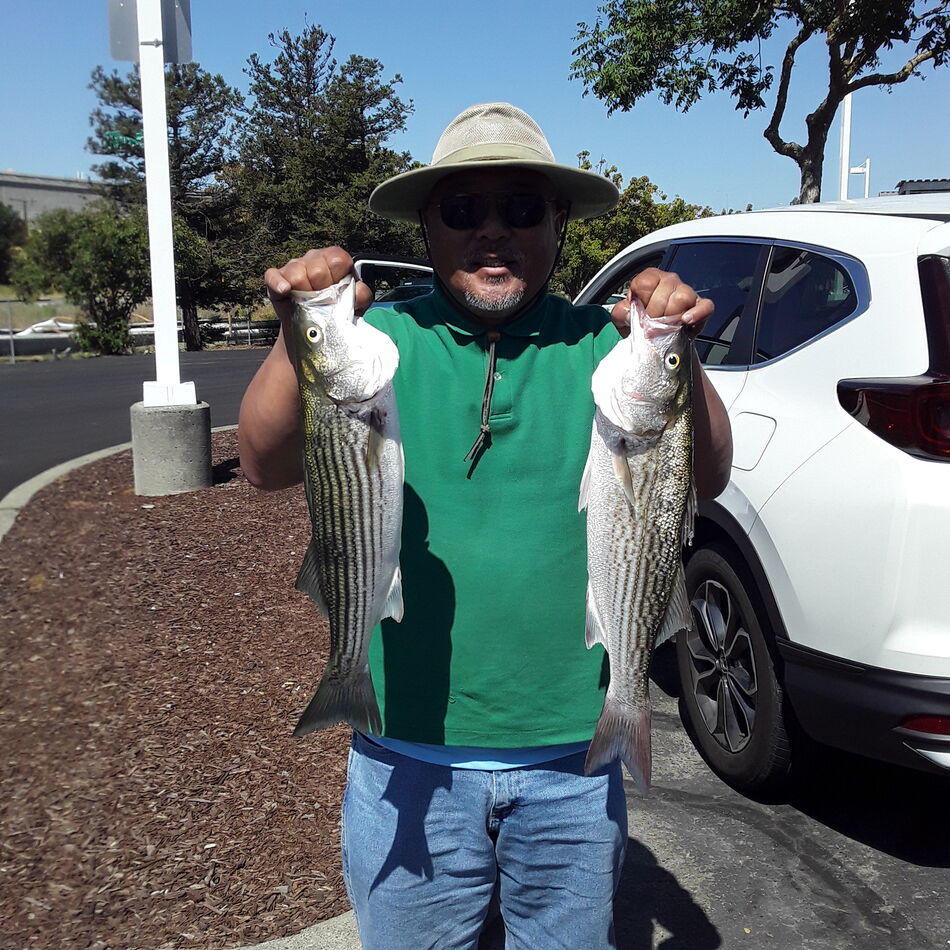 Petaluma river 08 26 22: Ben and I went trollin on the Pet this morning ...