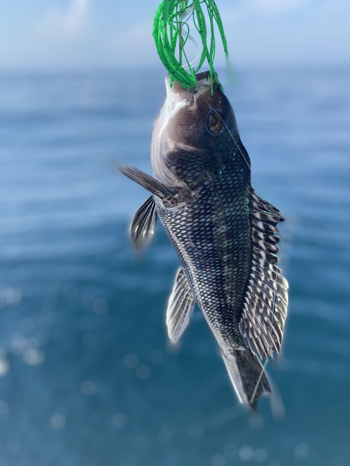 Cherry broken: Busted it wide open! Sloppy ,messy , blood and guts…yeah ...