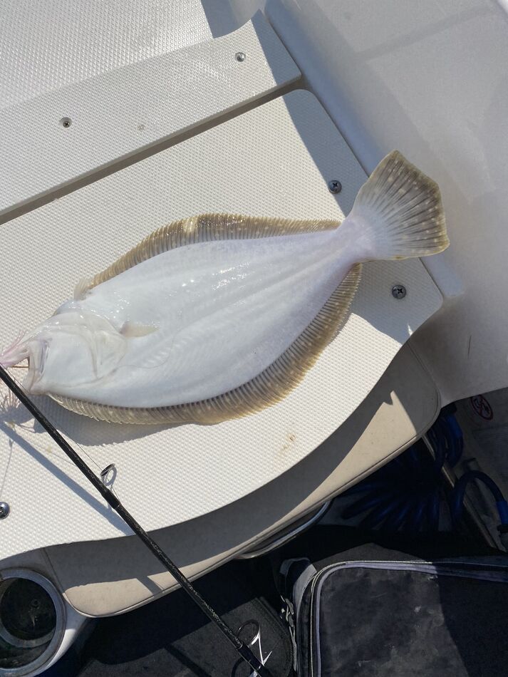 Cherry broken: Busted it wide open! Sloppy ,messy , blood and guts…yeah ...