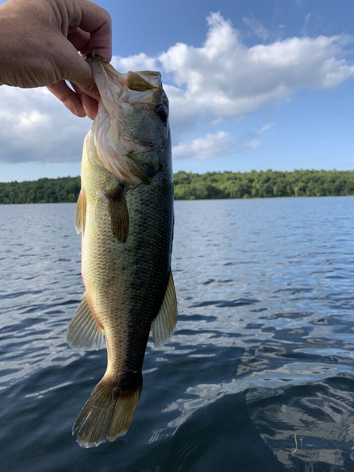 A good weekend: I got out today at 3:00 pm and fished till 6:00, I ...