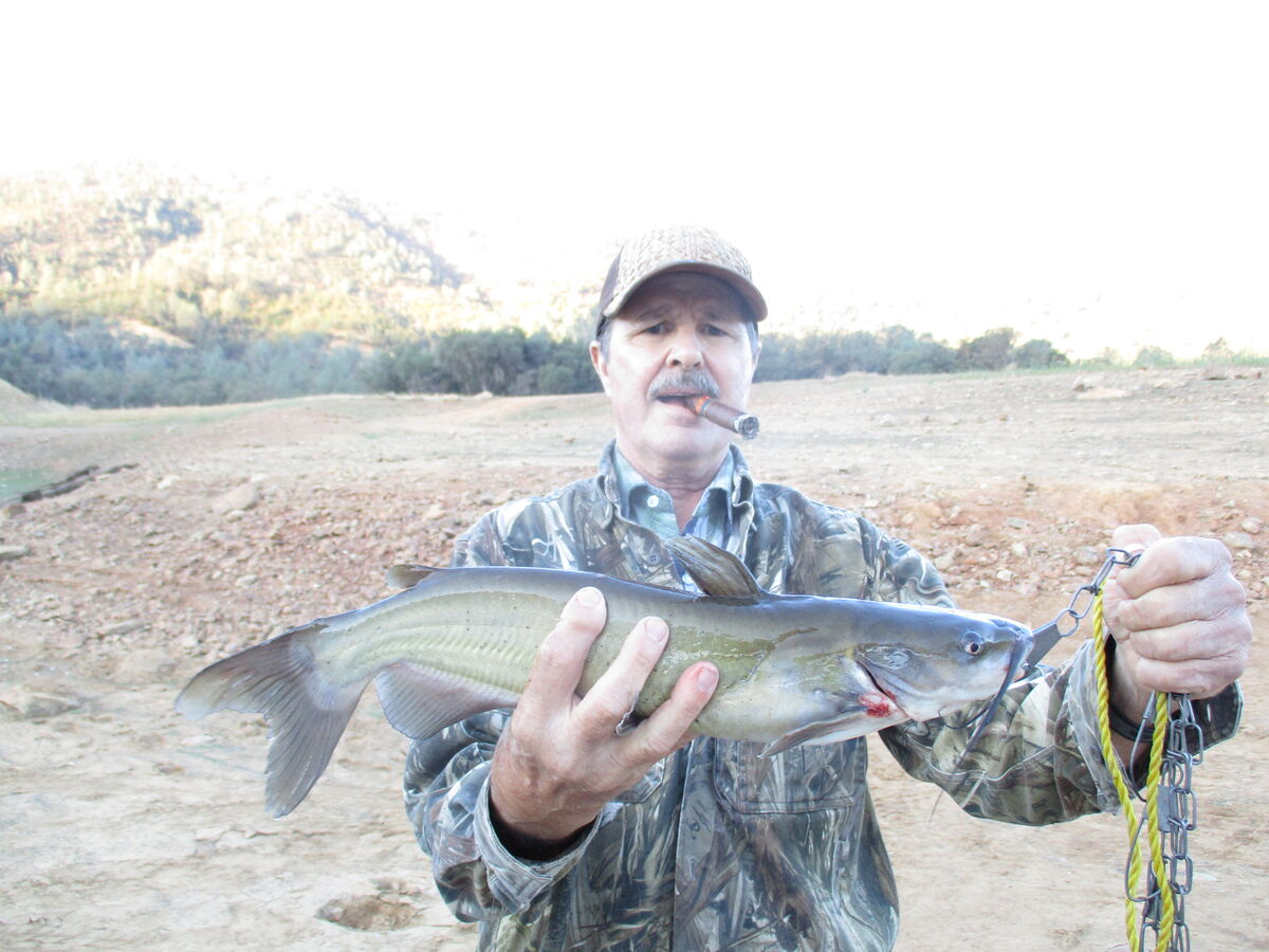 TARGET CARP AND CATFISH: Good day today ( 8/30 ) went out and targeted ...