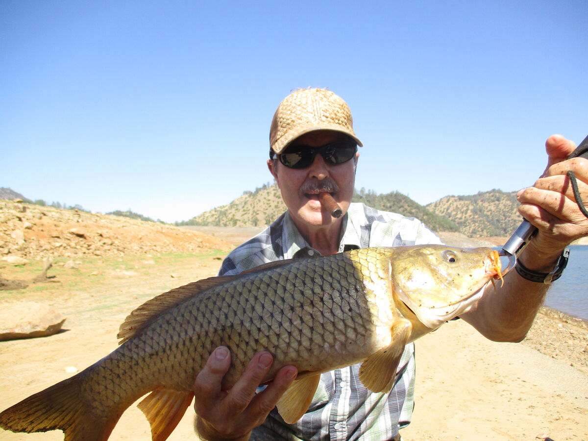 TARGET CARP AND CATFISH: Good day today ( 8/30 ) went out and targeted ...