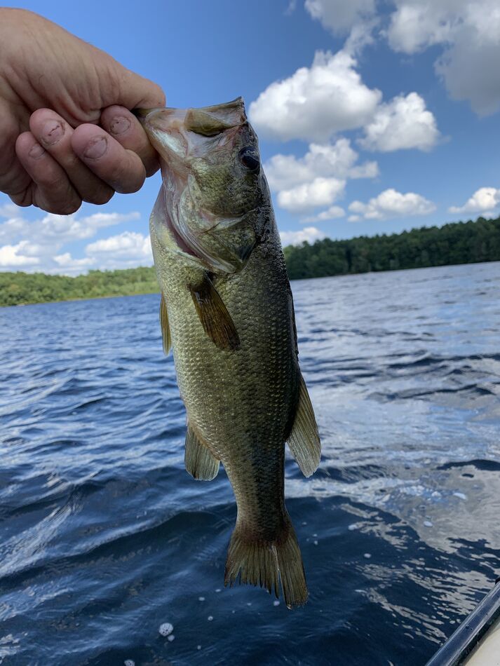 A bit windy: I’m out here right now, it’s a bit windy but I’ve caught two so I’ll stay.