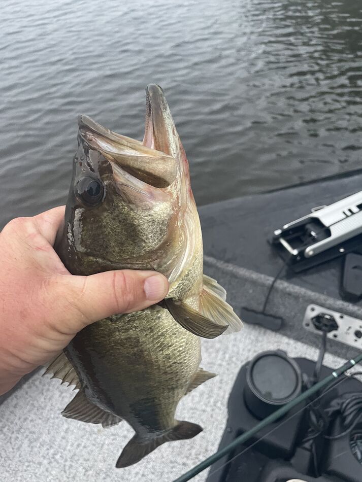 Huntsville State Park / Lake Raven: WOW! My best day ever on lake Raven ...