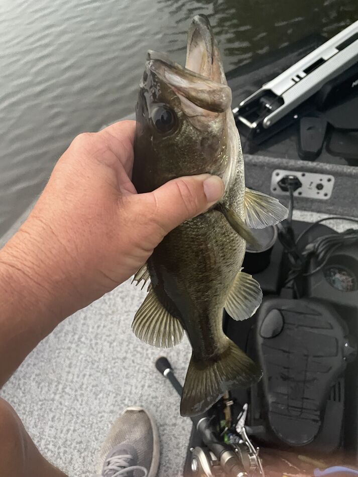 Huntsville State Park / Lake Raven: WOW! My best day ever on lake Raven ...