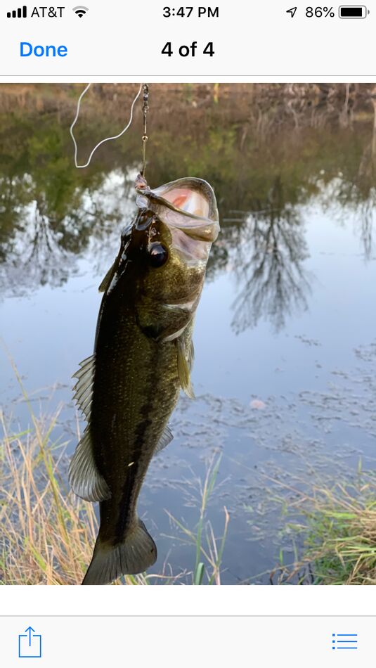 Lowell Lake in Kansas: New to this site I’m a Walleye fisherman How is ...