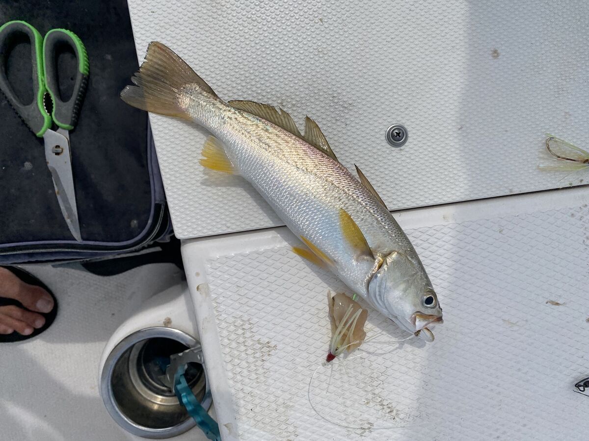How bout a 10 spot: What a difference a day makes….caught 10 nice sized ...